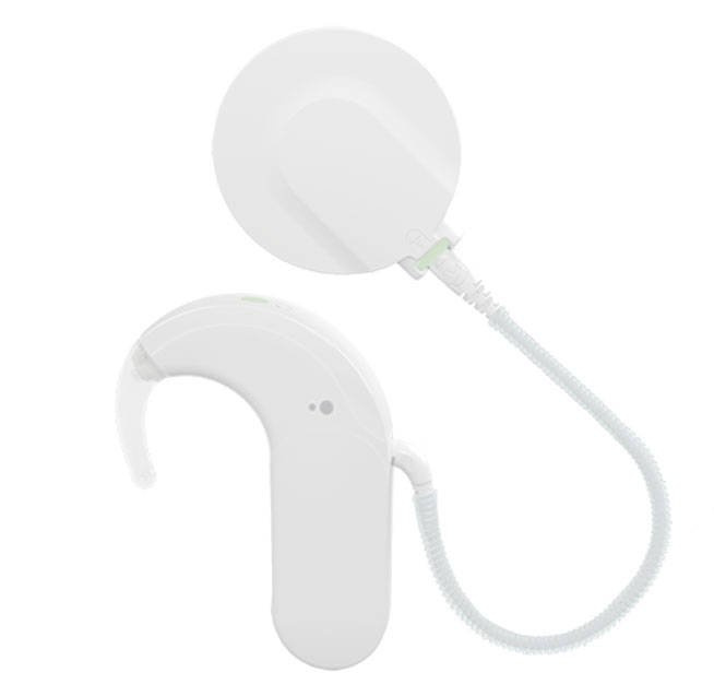 Protective spring - transparent Transparent | DECORATIONS \ SPRINGS